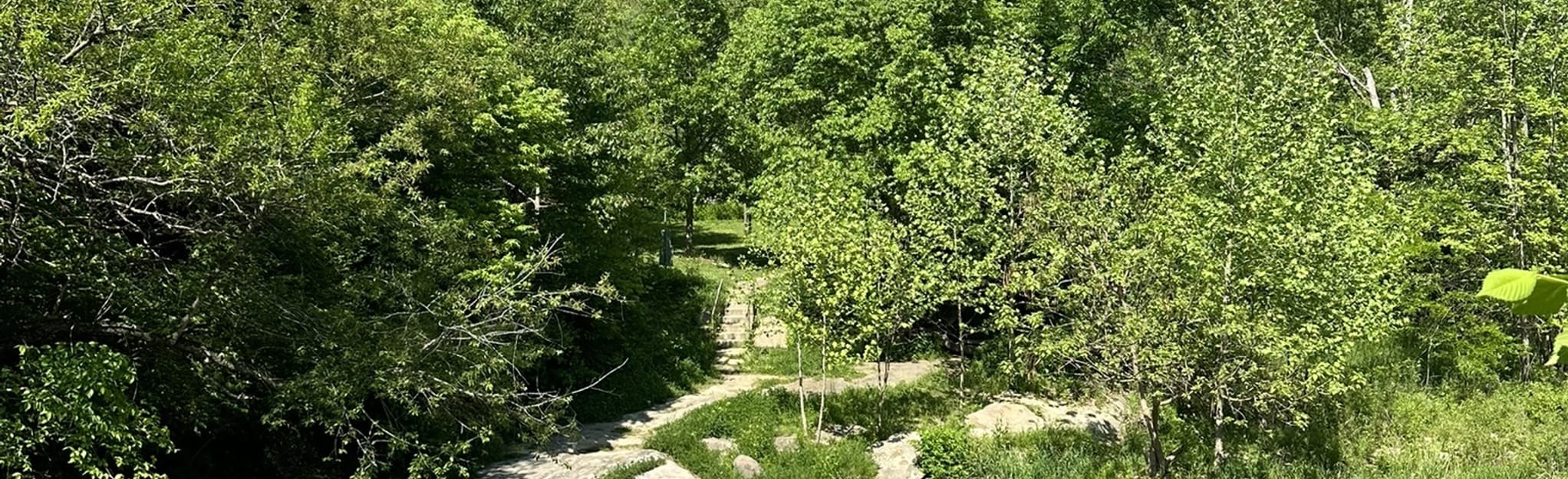Spring Lake Nature Park Loop, Illinois - 33 Reviews, Map | AllTrails