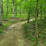 Lake Thom-a-Lex Nature Trail, North Carolina - 264 Reviews, Map | AllTrails