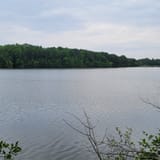 Lake Thom-a-Lex Nature Trail, North Carolina - 233 Reviews, Map | AllTrails