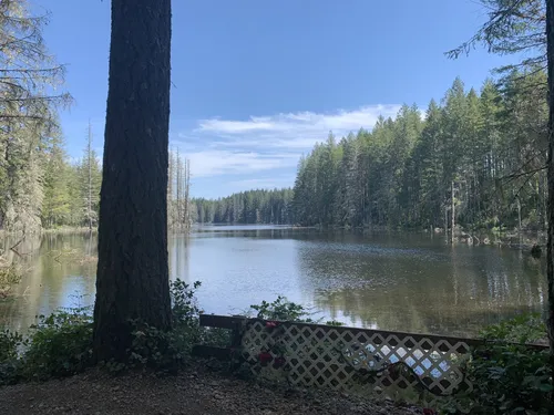 10 Best Off Road Driving Trails in Tahuya State Forest | AllTrails