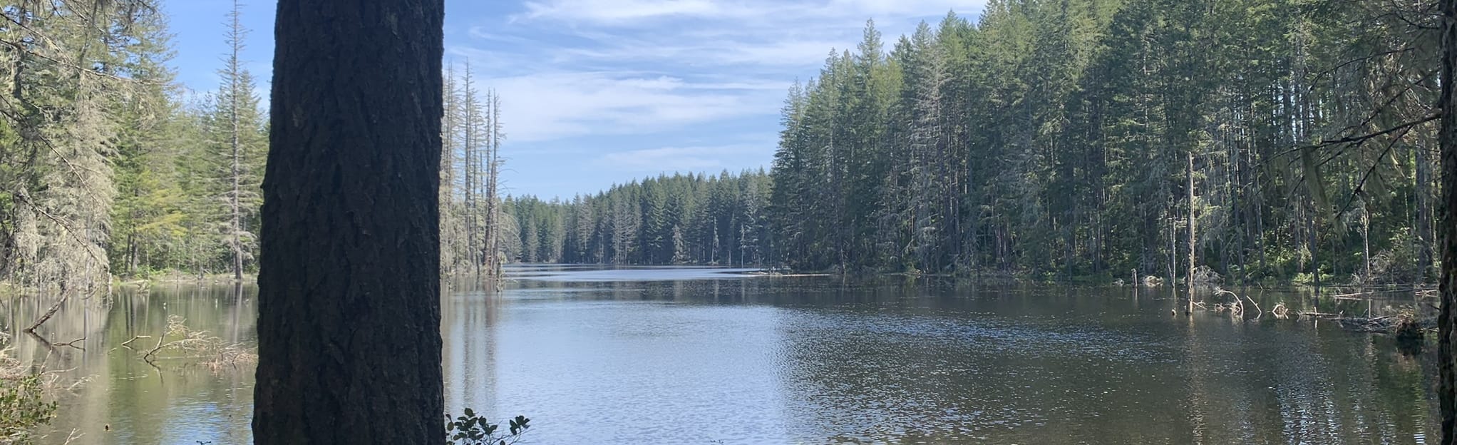 Tahuya River, Mission Creek, Overland and Salmon 4wd Trail : 28 Fotos ...