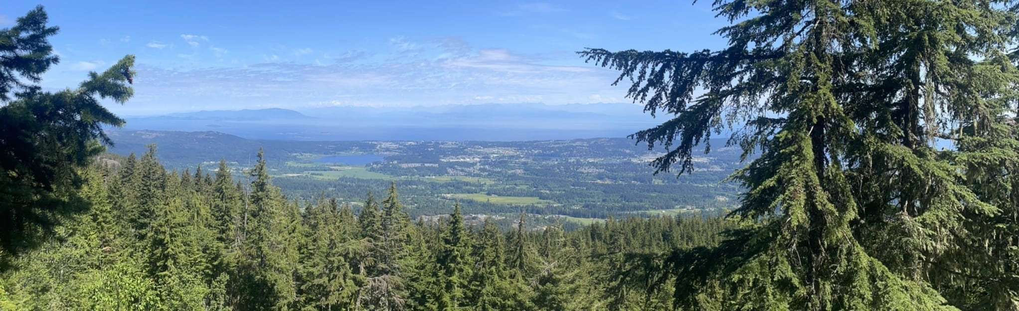 AllTrails | Westwood Lake - Mount Benson Summit: 38 Reviews, Map ...