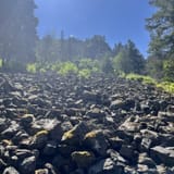 Wyeth to Gorge Trail, Oregon - 178 Reviews, Map | AllTrails