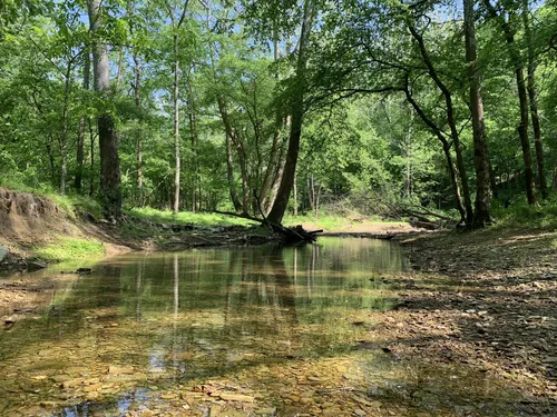 10 Best Hikes and Trails in Charles C. Deam Wilderness | AllTrails