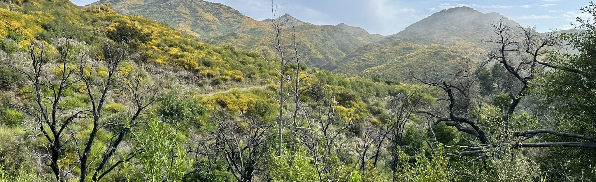 Backbone Trail Through Zuma Canyon: 298 Reviews, Map - California ...