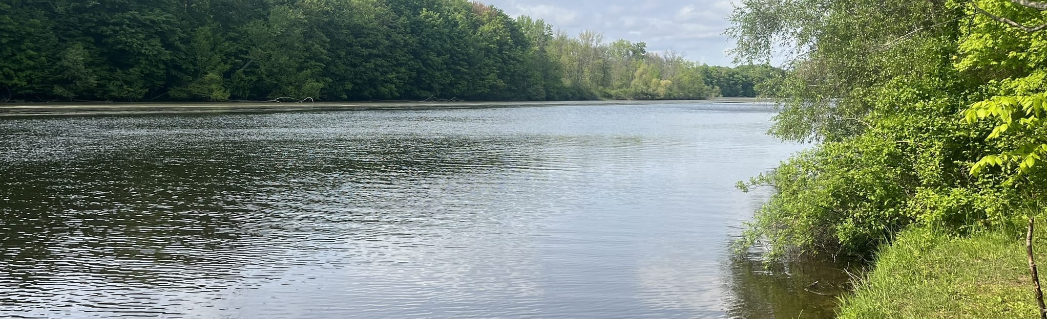 Fulton Park Trail: 102 Reviews, Map - Michigan | AllTrails