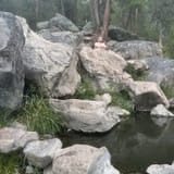 Spence Hot Springs Trail, New Mexico - 378 Reviews, Map | AllTrails