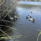 Discovery Lake via the Gratitude Trail, California - 1,037 Reviews, Map ...