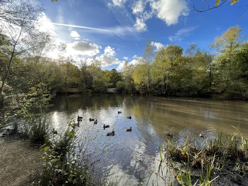 10 Best Hikes and Trails in Epping Forest | AllTrails
