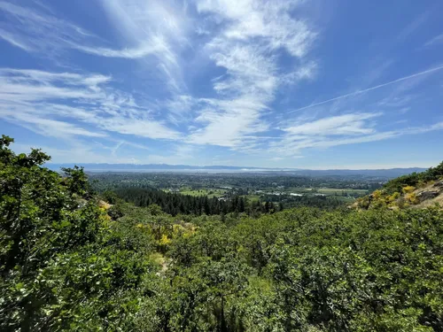 Best 10 Hikes and Trails in PKOLS (Mount Douglas) Park | AllTrails