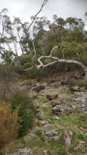 Best Hikes and Trails in Mount Arapiles Tooan State Park | AllTrails