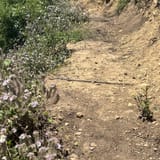 Baron Ranch Trail, California - 182 Reviews, Map | AllTrails