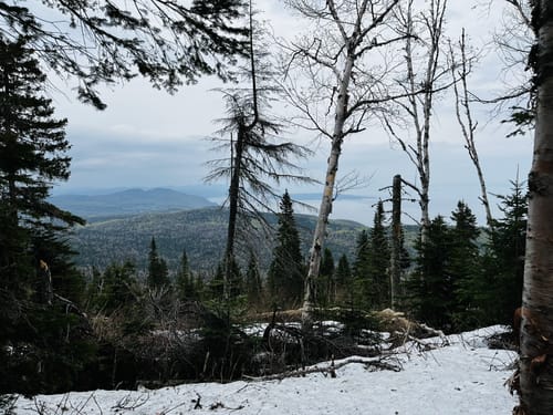 2023 Best Long Trails in Saint-Tite-des-Caps | AllTrails