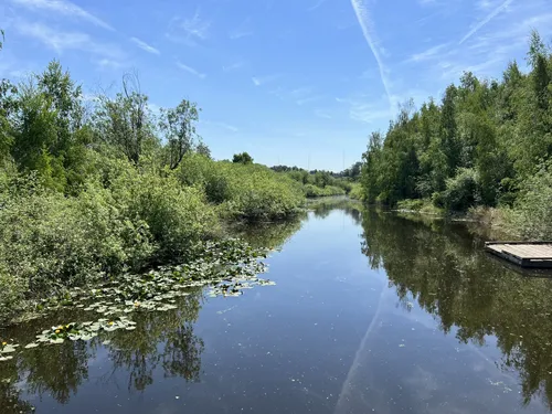 Best Hikes and Trails in Mercer Slough Nature Park | AllTrails