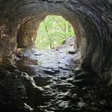Patton Cave via Hayes and Patton Cave Trail, Indiana - 290 Reviews, Map ...