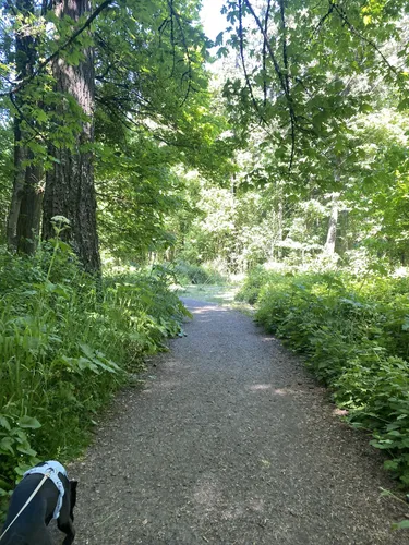 Best Hikes and Trails in Dorris Ranch Living History Farm | AllTrails