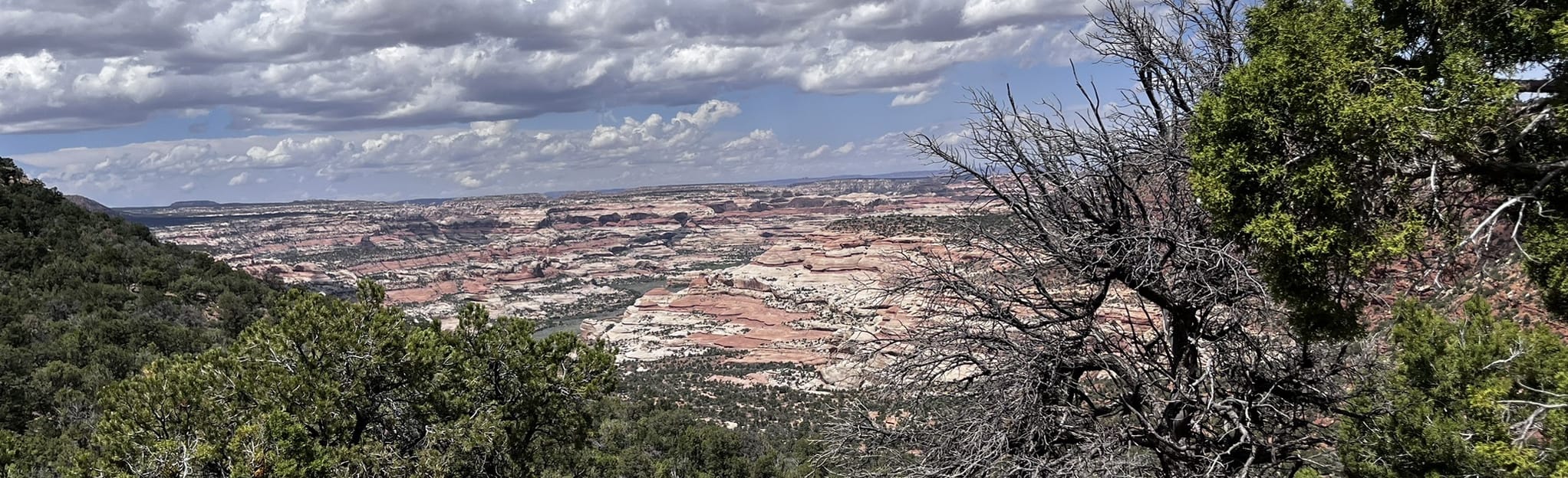 Salt Creek Canyon Trail, Utah - 45 Reviews, Map | AllTrails