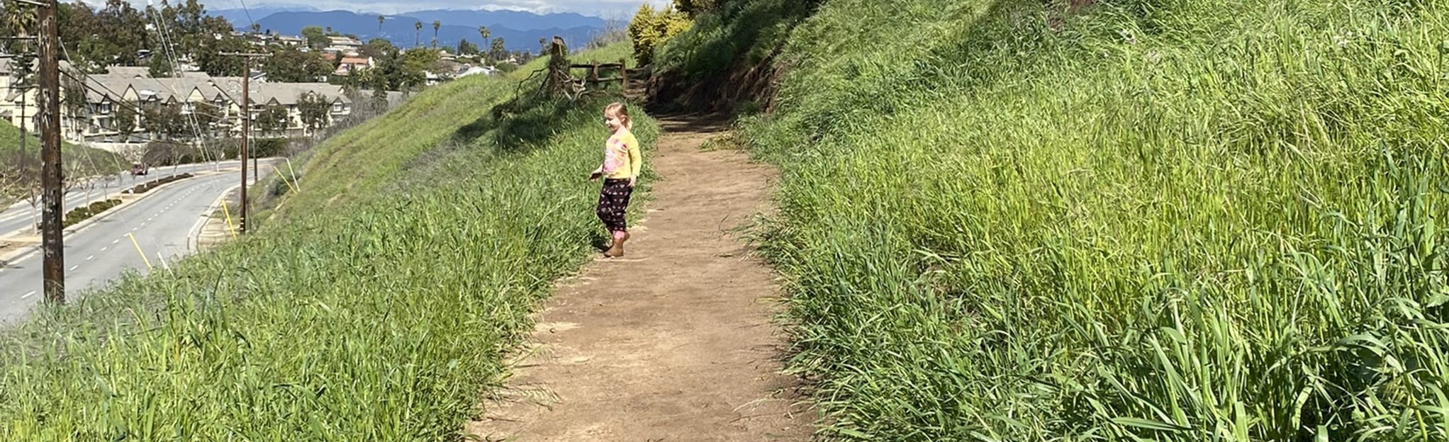 Stocker Corridor Trail: 337 Reviews, Map - California | AllTrails