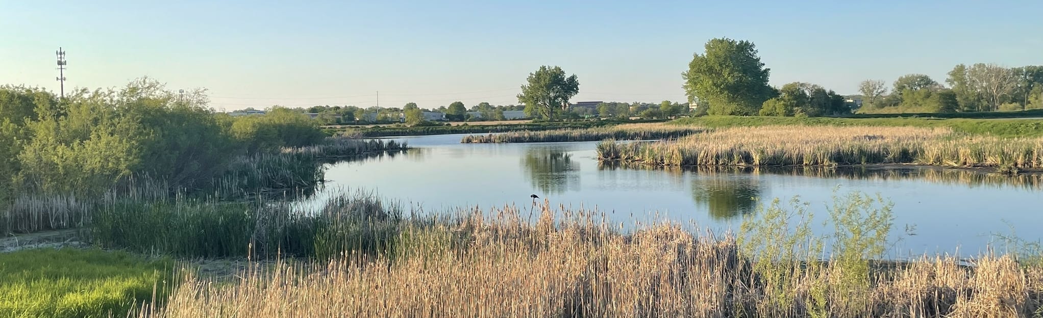 MMSD Wildlife Observation Area, Wisconsin - 52 Reviews, Map | AllTrails