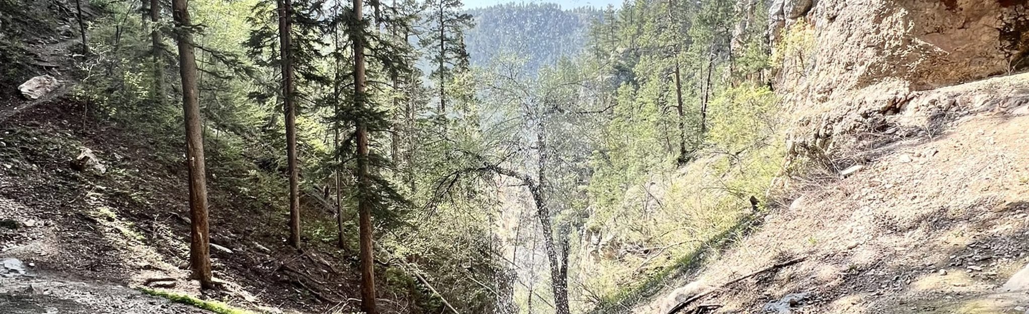 Community Caves Trail: 415 Reviews, Map - South Dakota | AllTrails