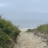Higbee Beach Loop Trail, New Jersey - 344 Reviews, Map | AllTrails