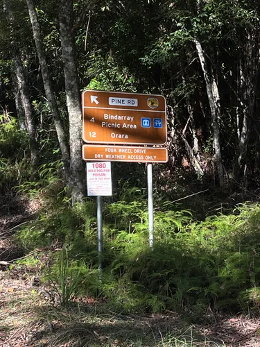 2023 Best River Trails in Upper Orara | AllTrails