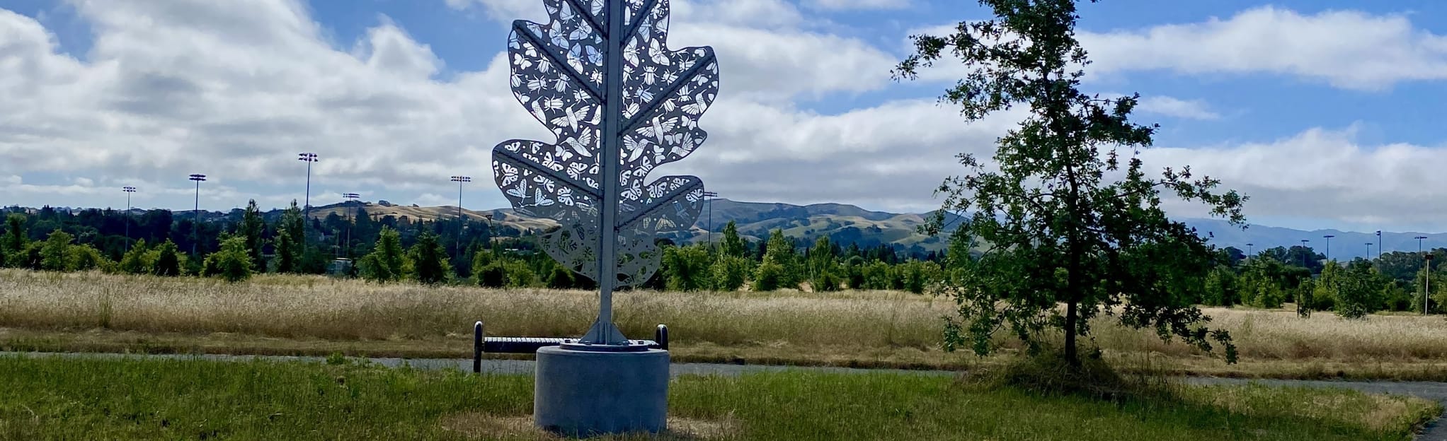 Bernal Oak Woodland Loop: 20 Reviews, Map - California | AllTrails