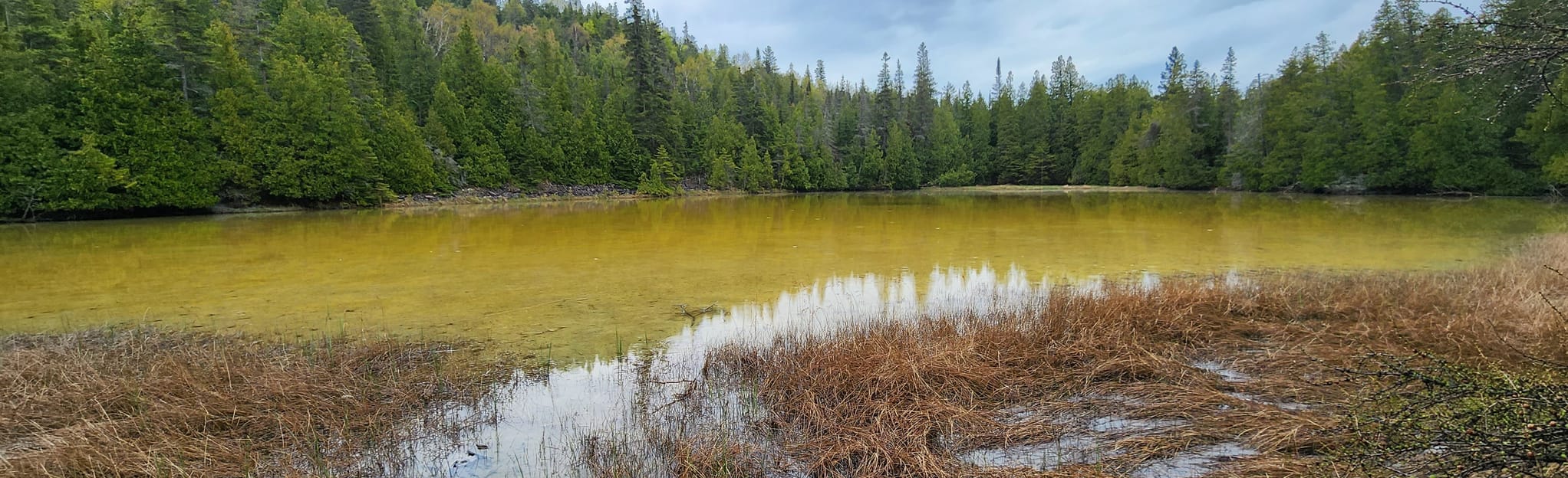 Flower Pot Island Cruise and Hike: 26 Reviews, Map - Ontario, Canada ...