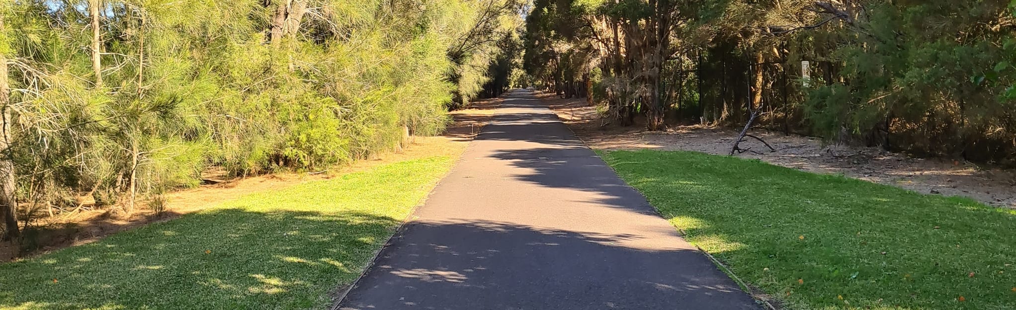 Kelso Park Loop: 12 Reviews, Map - New South Wales, Australia | AllTrails