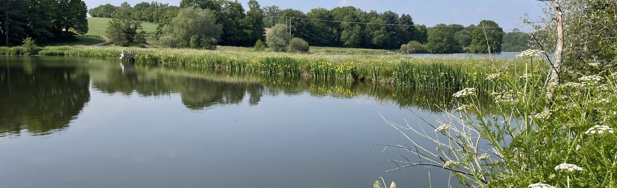 Circuit de la Valière: 83 foto's - Ille-et-Vilaine, Frankrijk | AllTrails