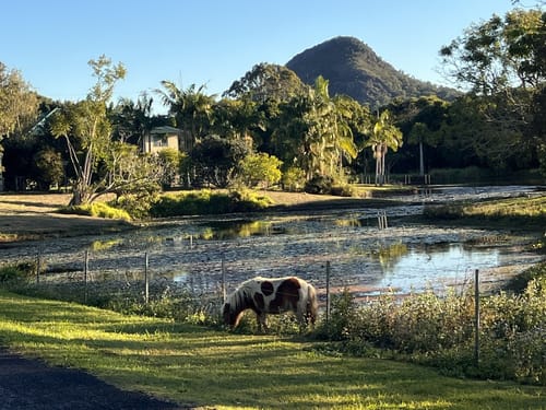 2023 Best Camping Trails in Kin Kin | AllTrails