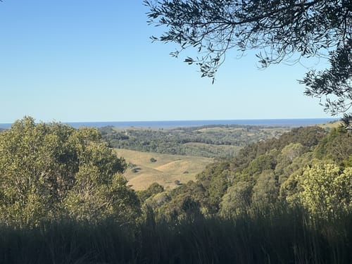 2023 Best Camping Trails in Kin Kin | AllTrails