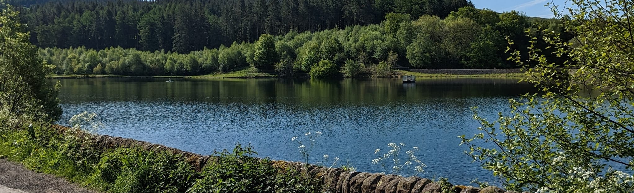 Teggs nose, Mac Forest and Shutlingsloe: 2.198 Fotos - Cheshire ...