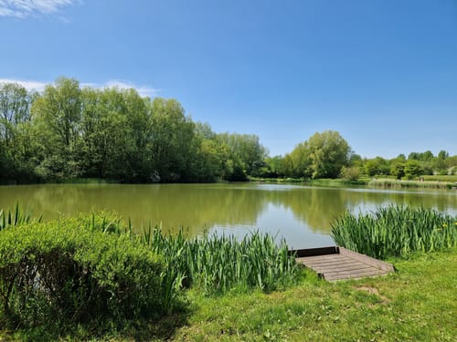 Best Hikes and Trails in Brierley Forest Park | AllTrails