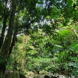 Lepoh Waterfalls, Selangor, Malaysia - 271 Reviews, Map | AllTrails