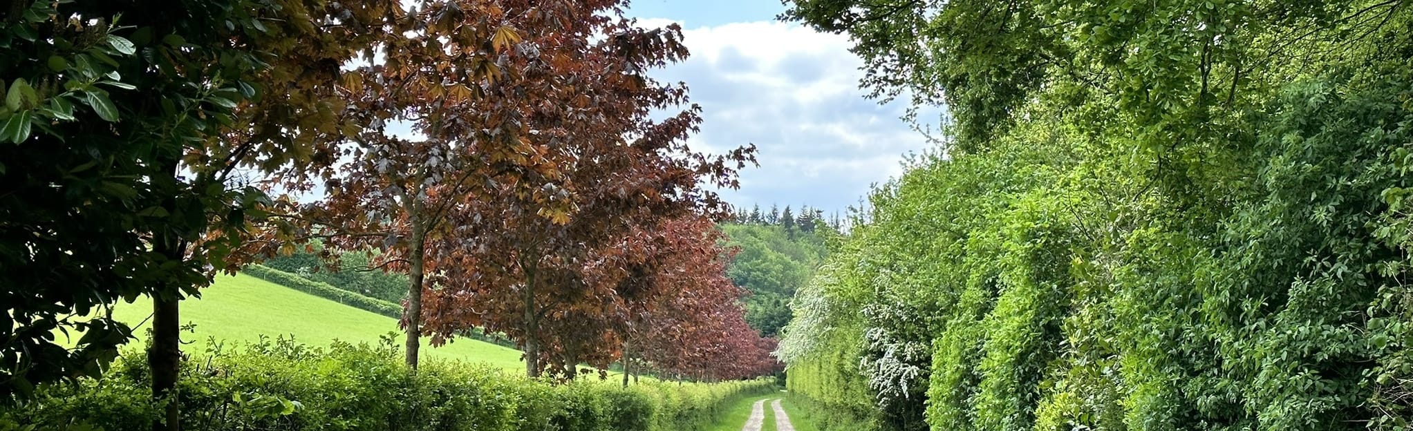 Marlow Circular, Buckinghamshire, England - 46 Reviews, Map | AllTrails