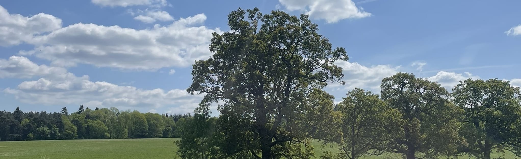 Harlestone Firs to Harlestone Village Loop, 68 Fotos - Northamptonshire ...