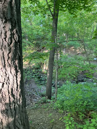 Best Hikes and Trails in Jacobus Park | AllTrails