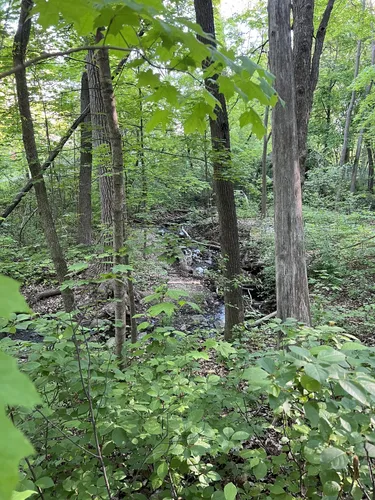 Best Hikes and Trails in Jacobus Park | AllTrails