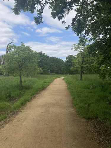 10 Best Hikes and Trails in Windsor Great Park | AllTrails