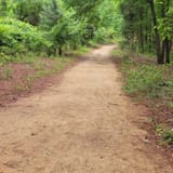 Forty Acre Rock Trail, South Carolina - 498 Reviews, Map | AllTrails