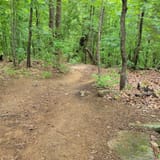 Forty Acre Rock Trail, South Carolina - 498 Reviews, Map | AllTrails