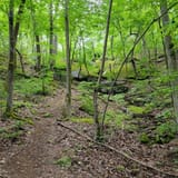 Forty Acre Rock Trail, South Carolina - 498 Reviews, Map | AllTrails