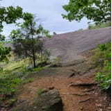Forty Acre Rock Trail, South Carolina - 498 Reviews, Map | AllTrails