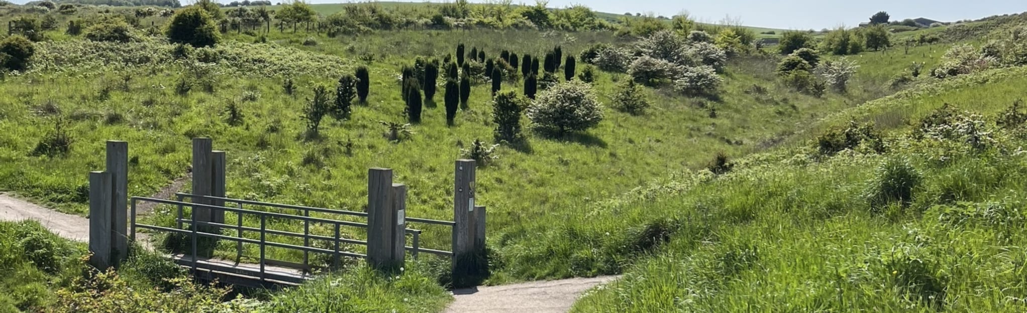 Durham Coastal Path: Seaham to Hart Station: 13 Reviews, Map - County ...