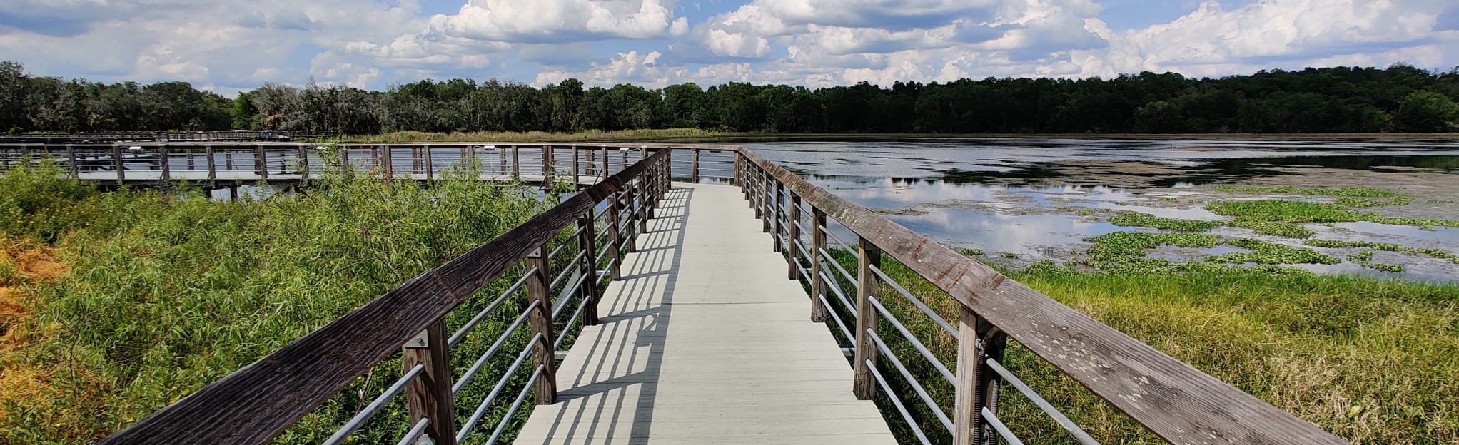 Liberty Trail, Florida - 91 Reviews, Map | AllTrails