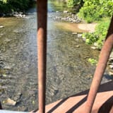 Cub Run Stream Valley Trail, Virginia - 370 Reviews, Map | AllTrails