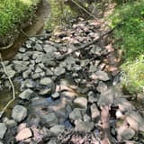 Cub Run Stream Valley Trail, Virginia - 370 Reviews, Map | AllTrails