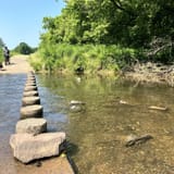 Cub Run Stream Valley Trail, Virginia - 454 Reviews, Map | AllTrails