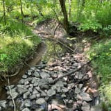 Cub Run Stream Valley Trail, Virginia - 392 Reviews, Map | AllTrails